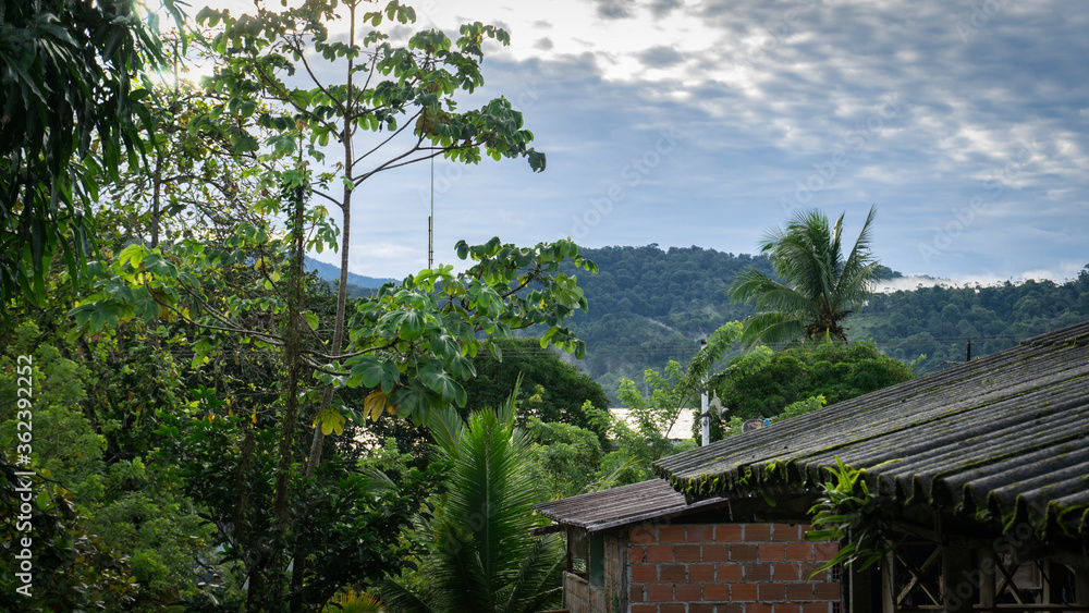 Paisajes naturales en tierra tropical Stock Photo | Adobe Stock