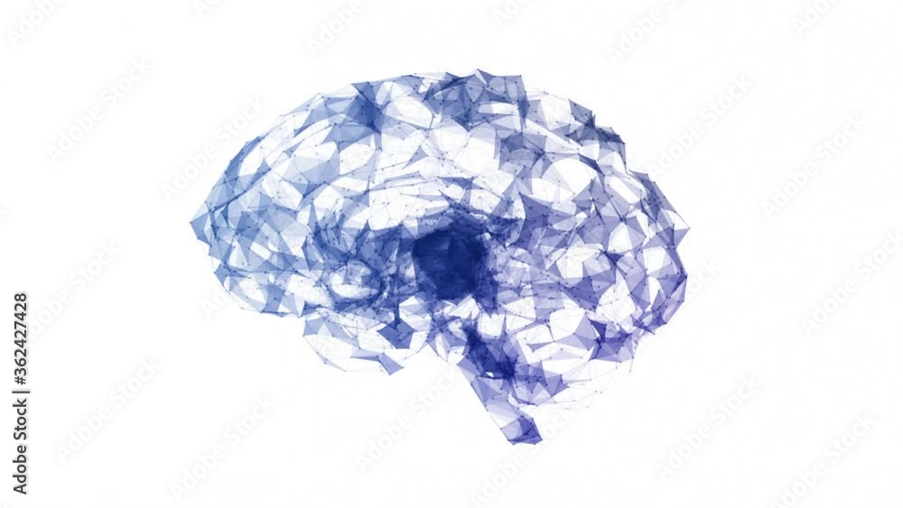 Building Neural Network - Net shaped blue brain on white background 4K ...