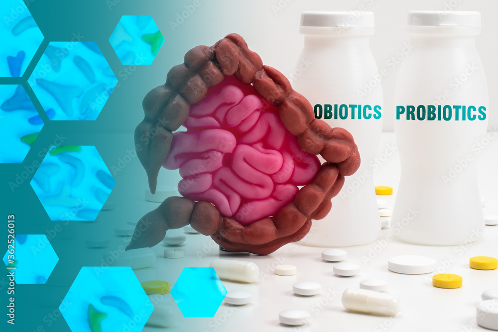 Useful Microorganisms