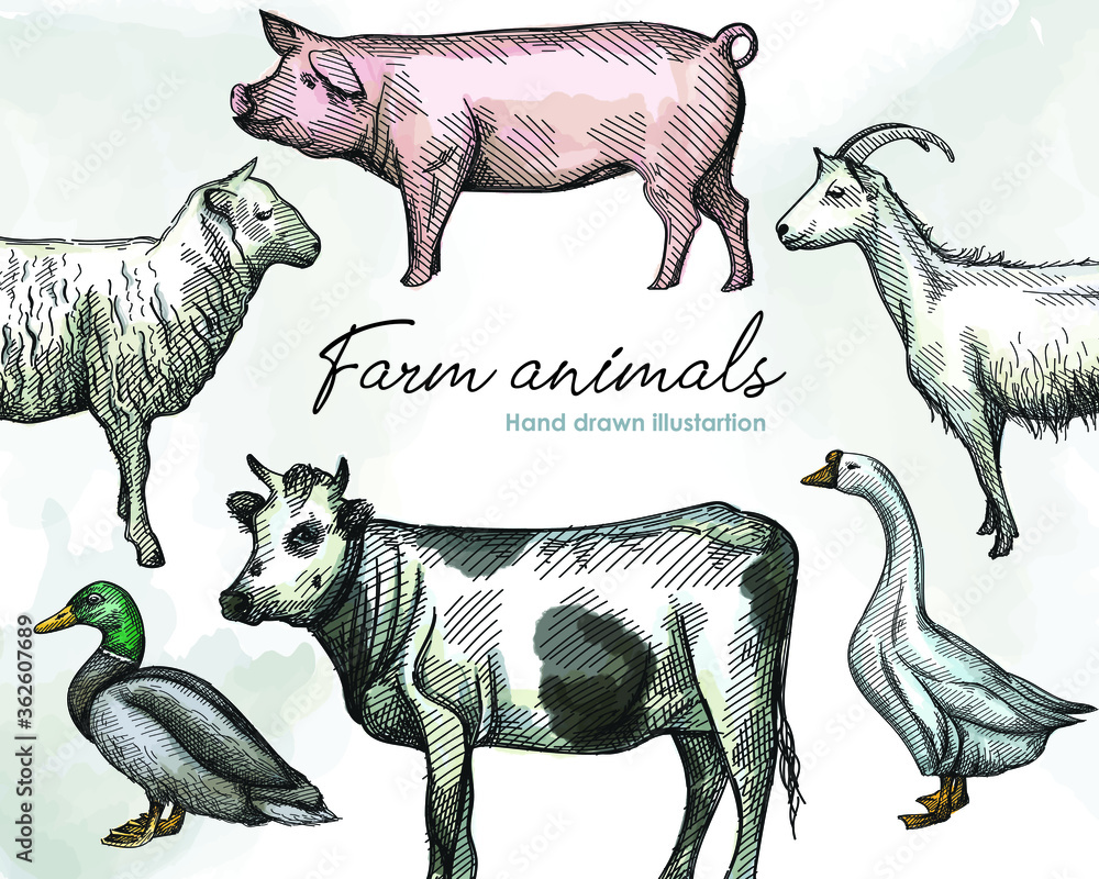 Colorful watercolor Hand-drawn sketch set of farming animals on a white ...