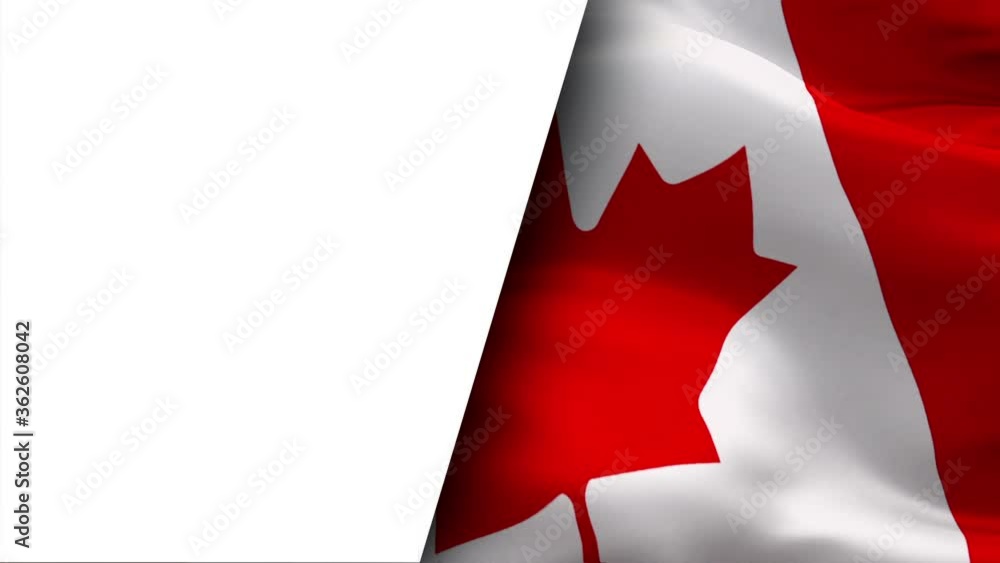 Canadian flag video waving in wind half white background for text.Realistic Canadian Toronto ...
