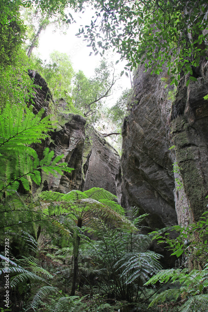 Carnarvon Gorge, Queensland, Australia. Featuring trees, creeks, rocks ...