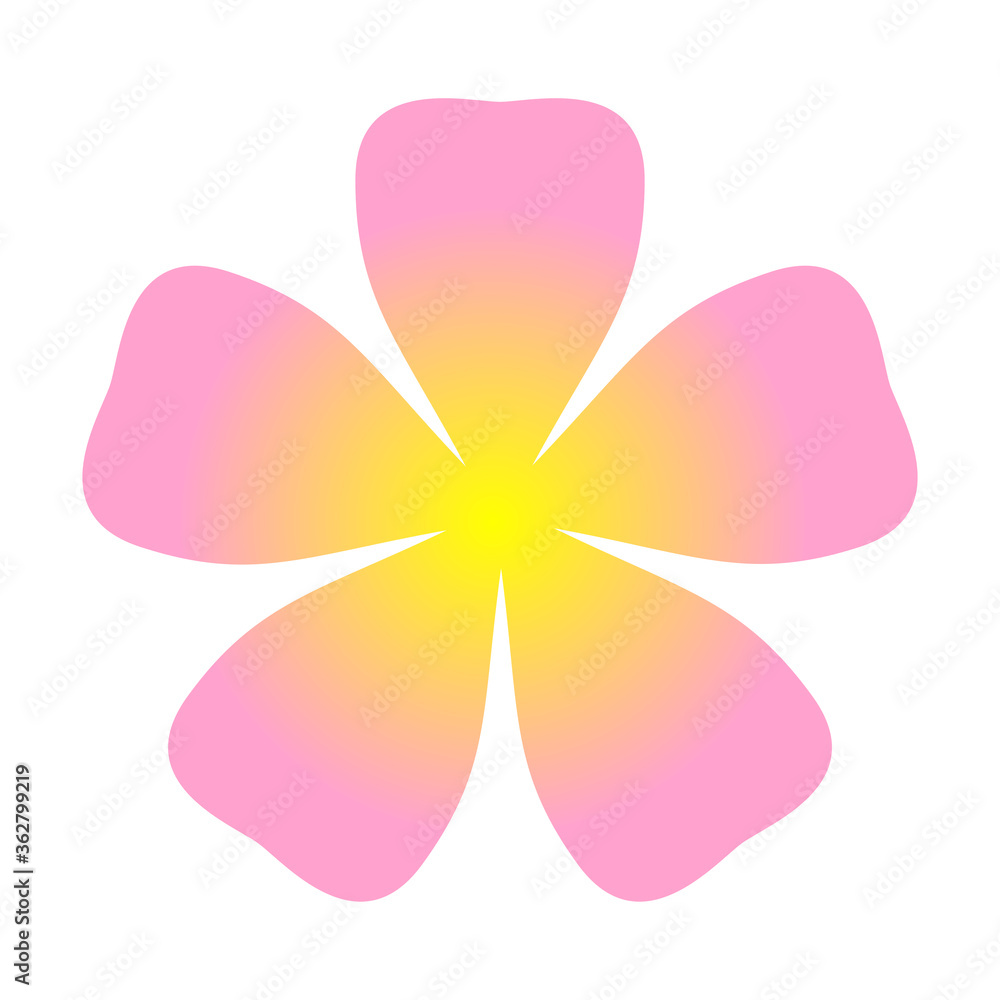 flower pink simple shape isolated on white background, pink flowers ...