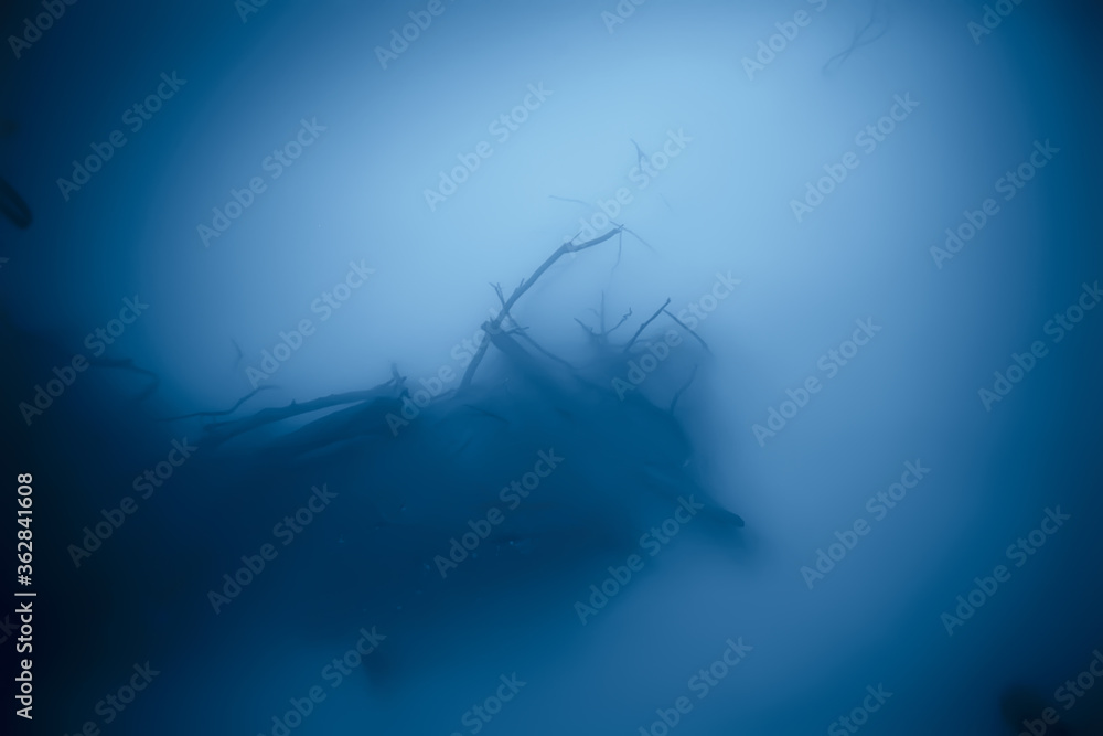 landscape diving in cenote, underwater fog hydrogen sulfide, extreme ...