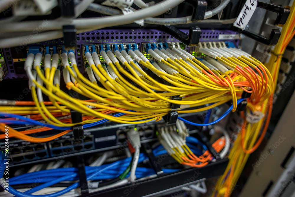 Server rack with red internet patch cord cables connected to patch ...