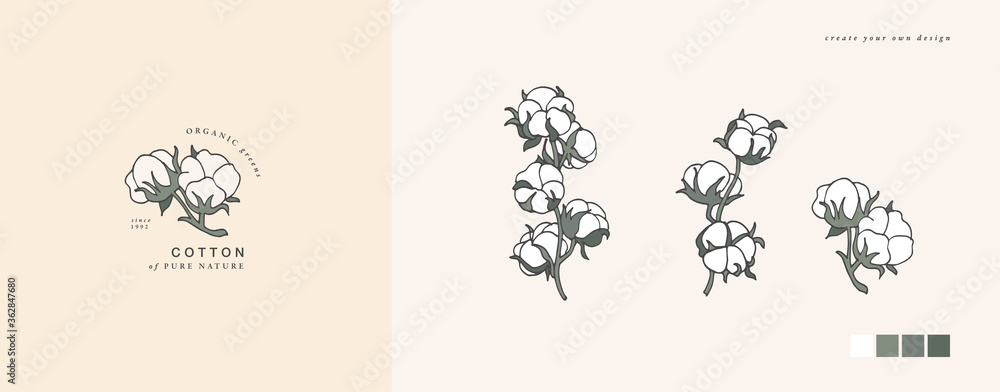 Vector illustration cotton branch - vintage engraved style. Logo ...