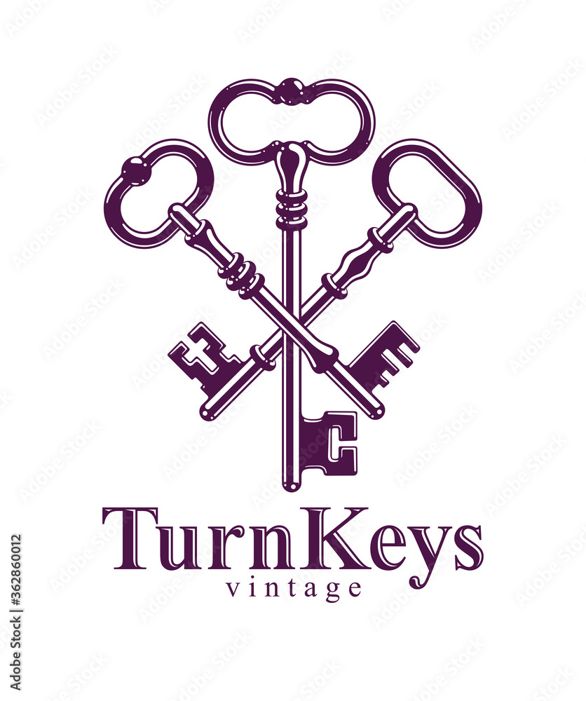 Crossed keys, vintage antique turnkeys vector logo or emblem, protected ...