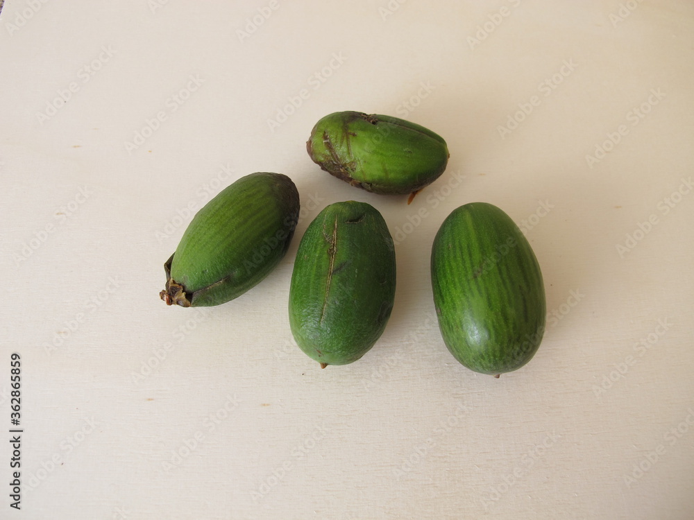 Fruits or seeds of the Japanese torreya, Torreya nucifera Stock Photo ...