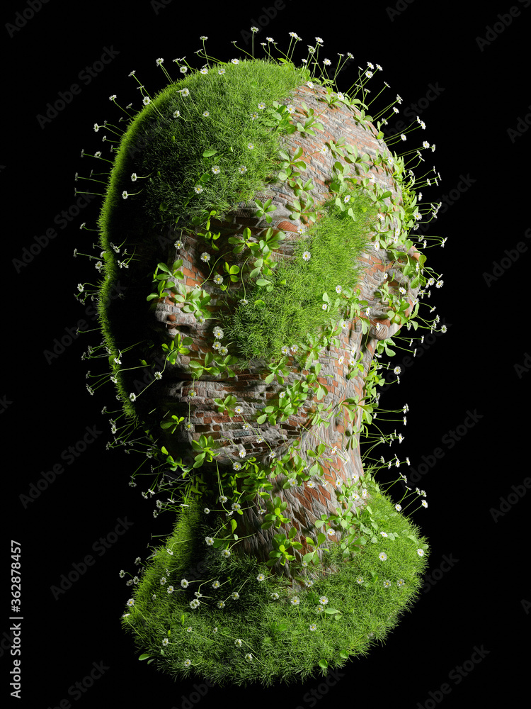 Grass and flowers growing on a human face with bricks for skin, 3D ...