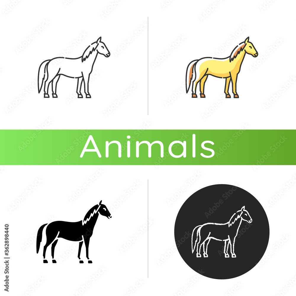 Horse icon. Linear black and RGB color styles. Wild stallion, common ...