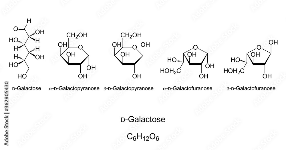 Galactose, Gal, monosaccharide, chemical structure. Simple sugar. Natta ...