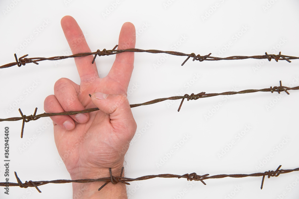 Man's hand shows gestures behind the barbed wire. White background. The ...