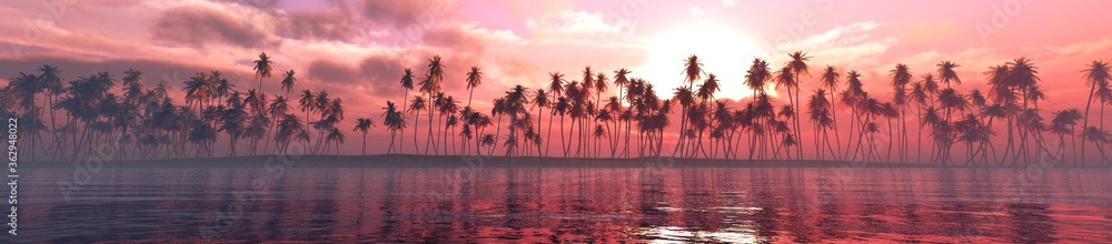 Palm trees over the water, a panorama of palm trees in a row at sunset ...