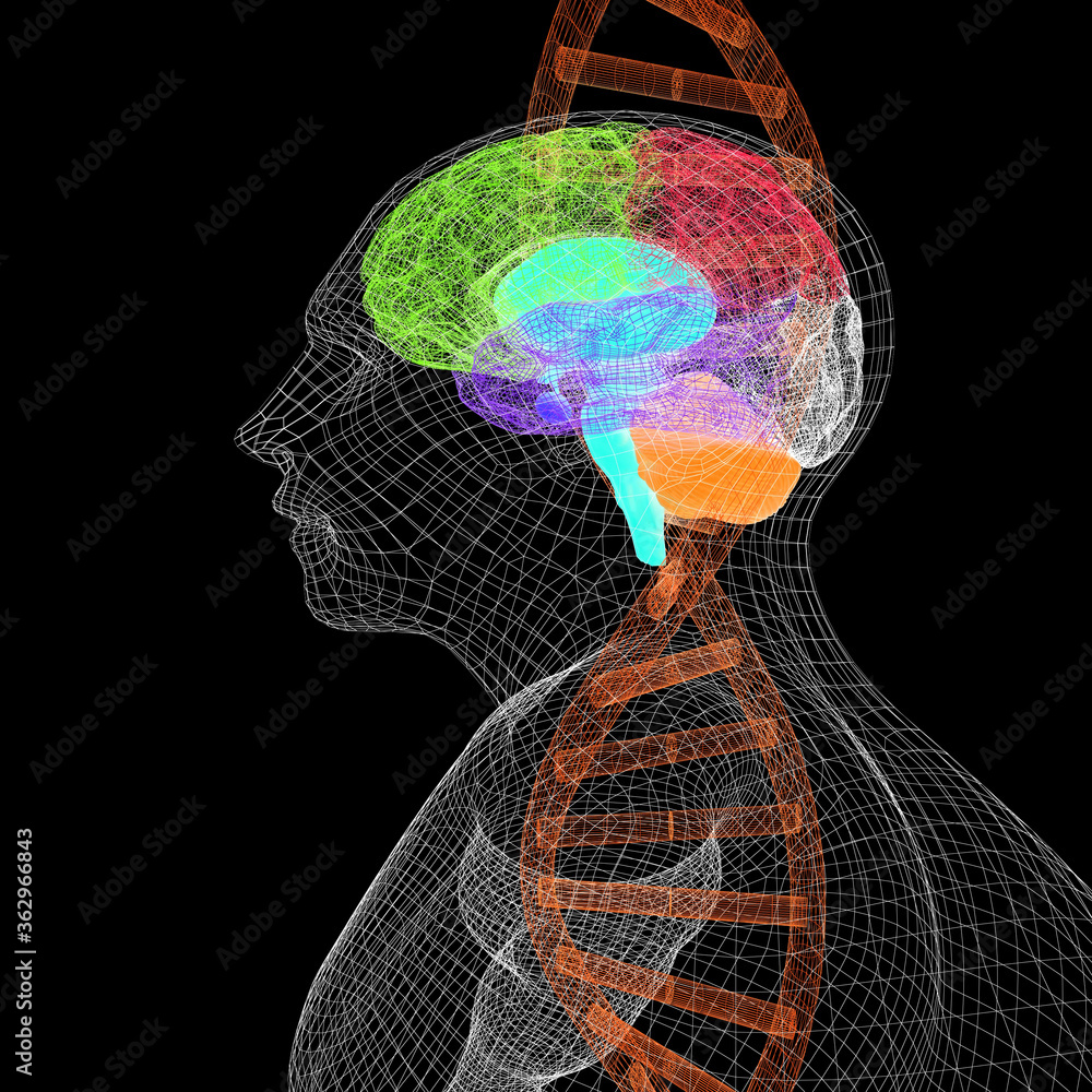 3D medical background with human, brain and DNA strands. 3d render. On ...