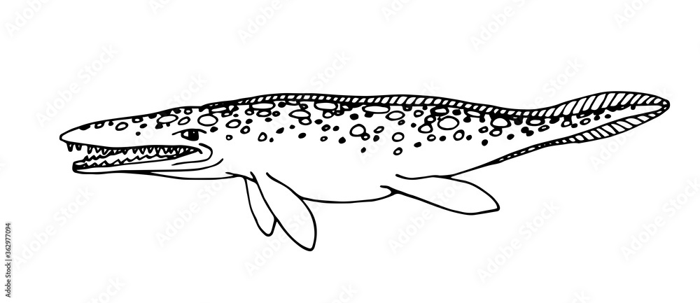 prehistoric reptile of the Jurassic period, spotted plesiosaur, ancient ...