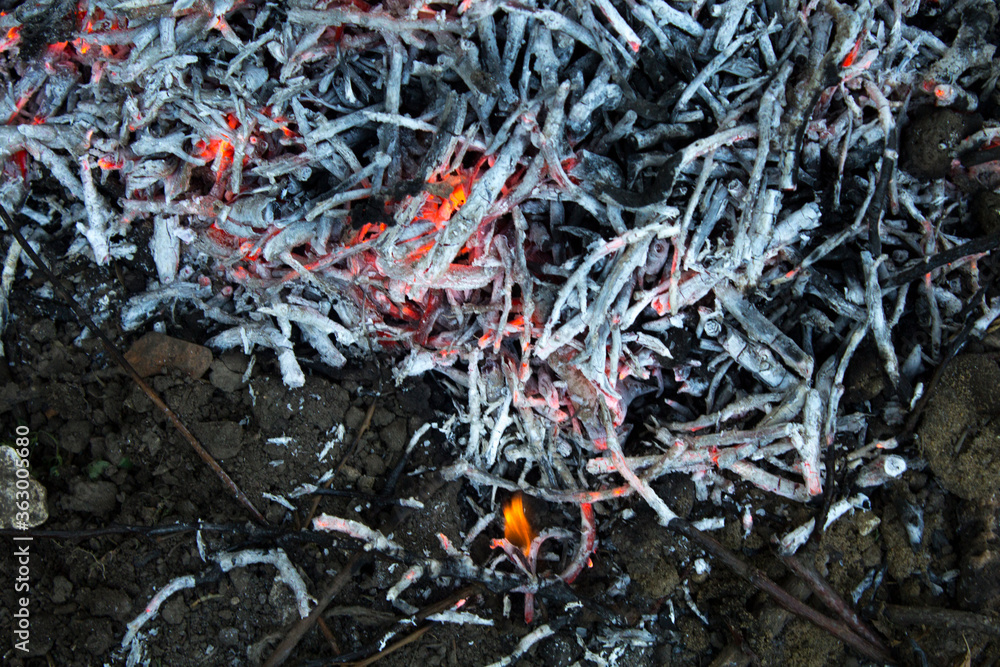 Backdrop of the fire flame and ashes. Bonfire fire texture on wild ...