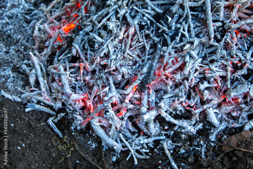 Backdrop of the fire flame and ashes. Bonfire fire texture on wild ...