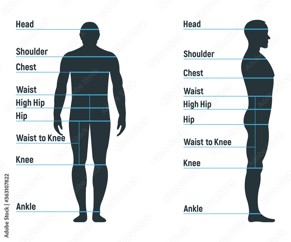 Male size chart anatomy human character, people dummy front and view ...