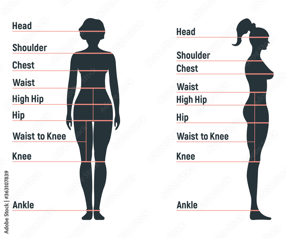 Female size chart anatomy human character, people dummy front and view ...