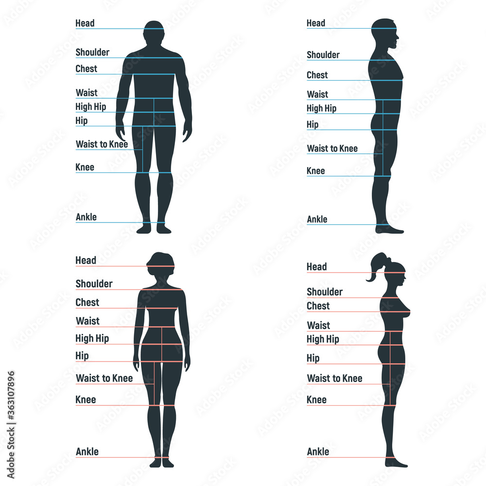Male Body Comparison Chart