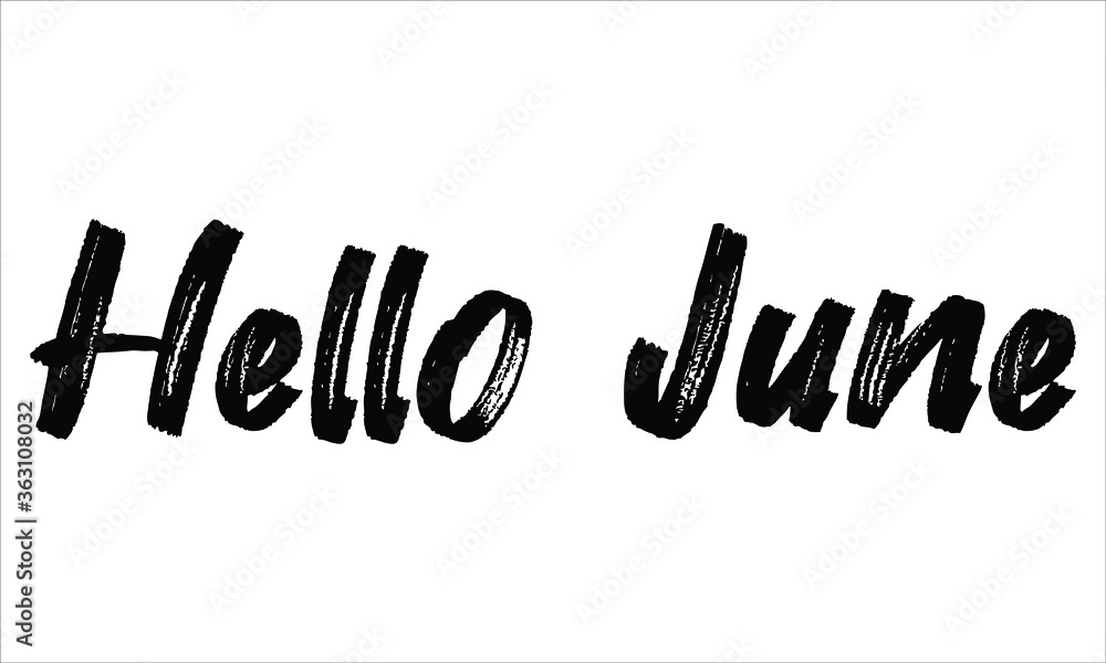 Hello June Brush Hand drawn typography lettering phrase isolated on the ...