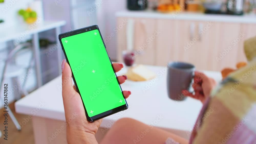 Vidéo Stock Woman holding portable phone with green screen while ...