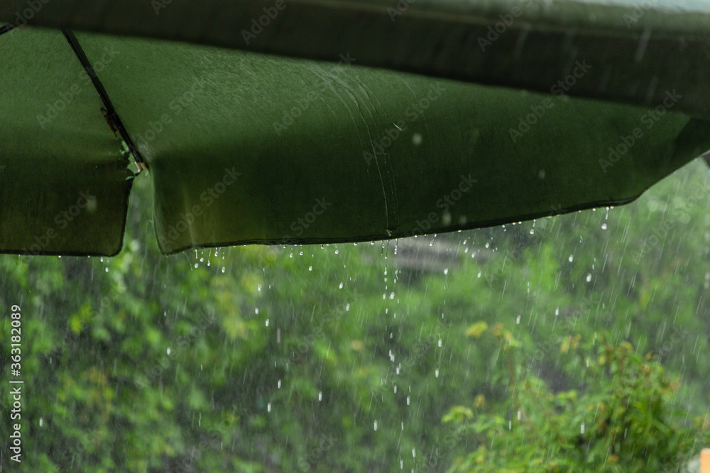 heavy rain and tree in the parking lot . Rain drops falling from a ...