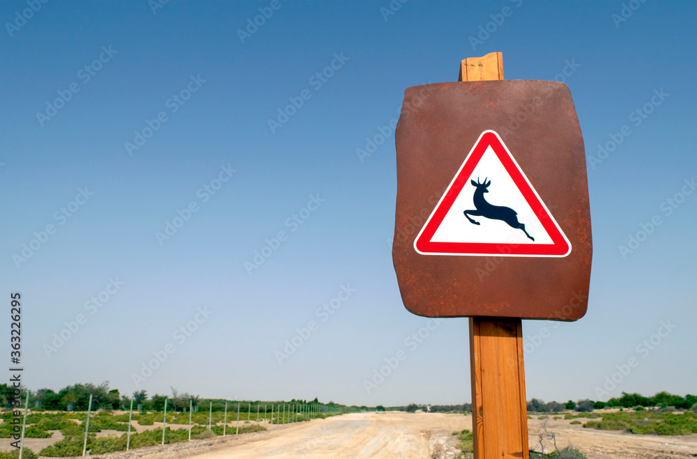 Wild animal crossing road sign. Wild oryx, antelope, gazelle road sign ...