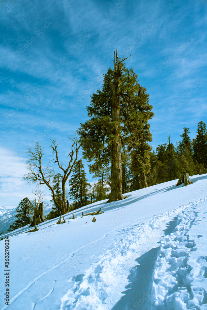 The snow-capped high mountain of the Himalayan range of India, amazing ...