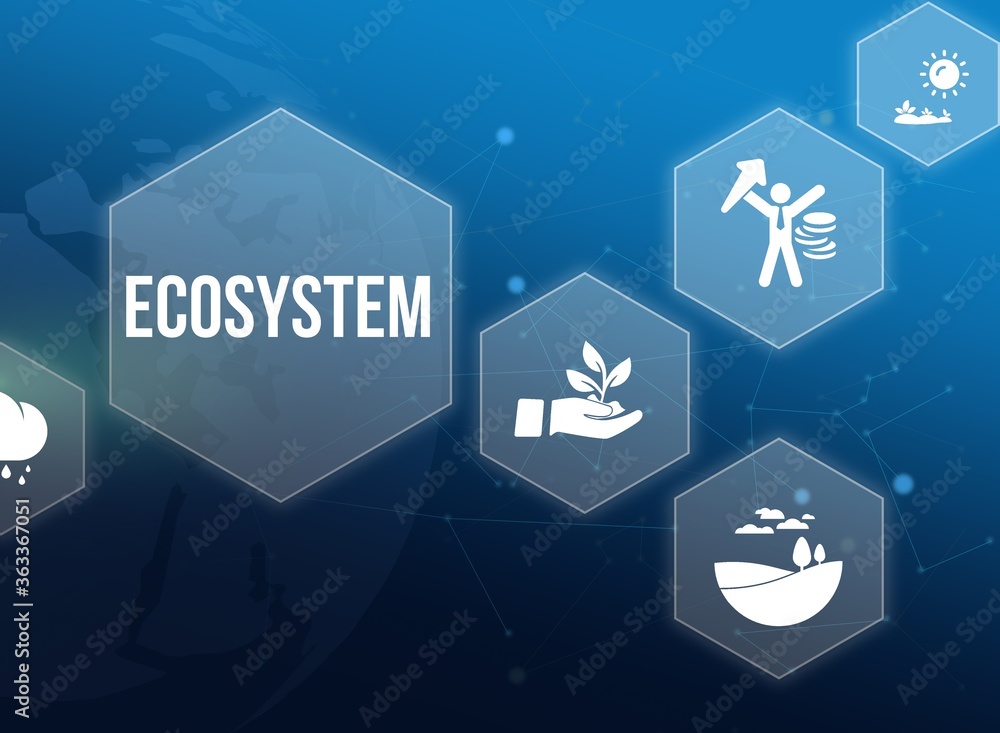ecosystem Stock Illustration | Adobe Stock