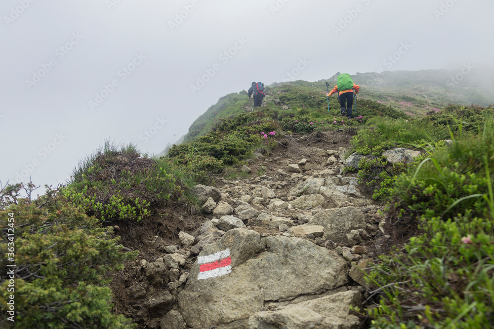 Tourist route mark on stone, painted in white and red guiding the way ...