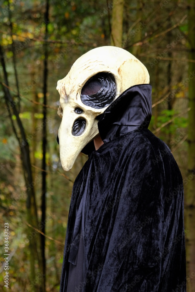 Halloween holiday. Skull crow costume. Scary bird in the dark autumn ...