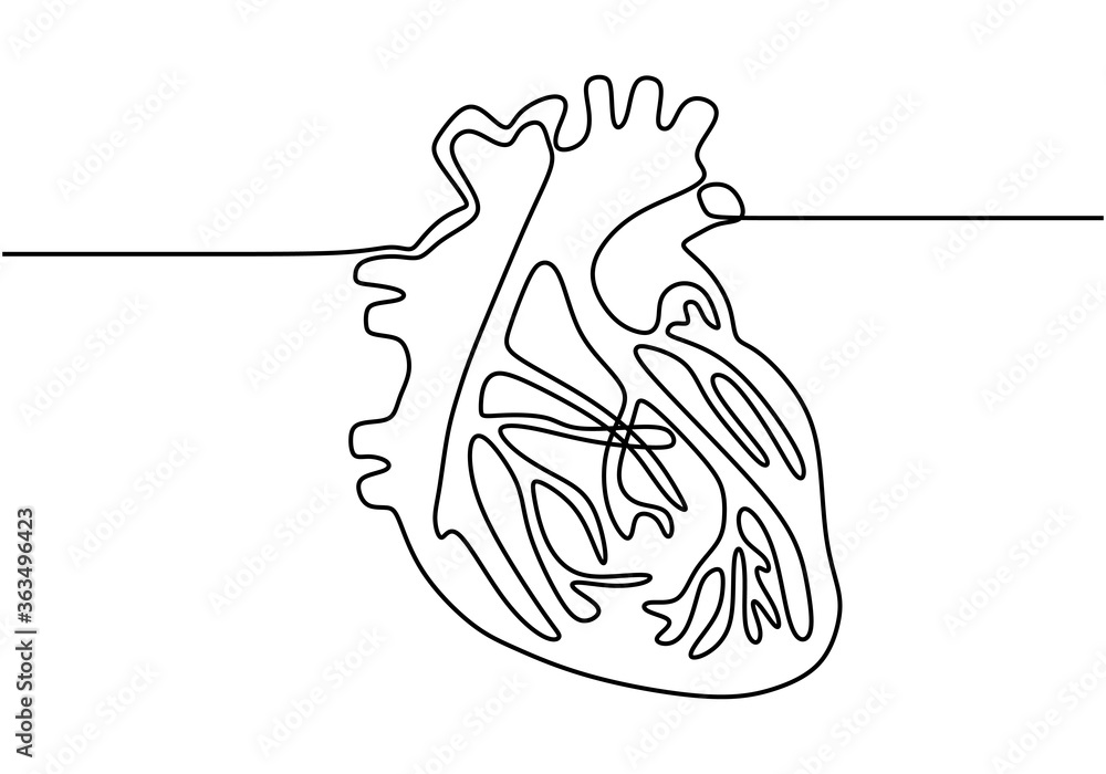 Continuous one line drawing of Human heart with minimalist design ...
