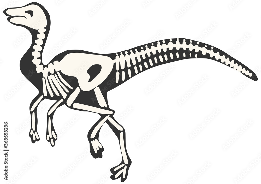 X-Ray Dino Skeleton Zephyrosaurus clipart hand drawn isolated on white ...