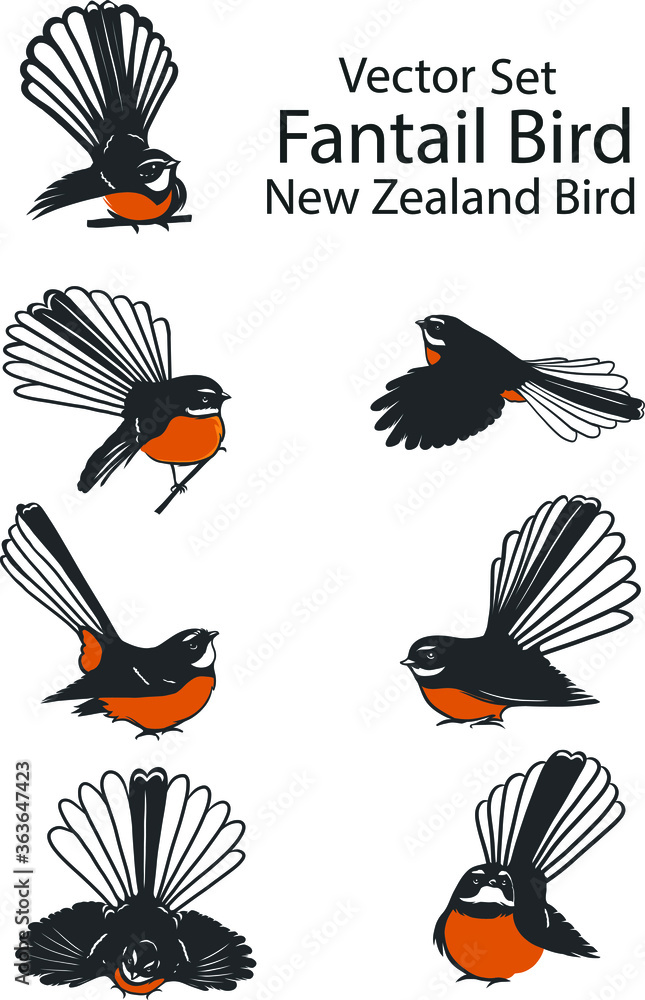 set of fantail birds,new zealand bird Stock Vector | Adobe Stock