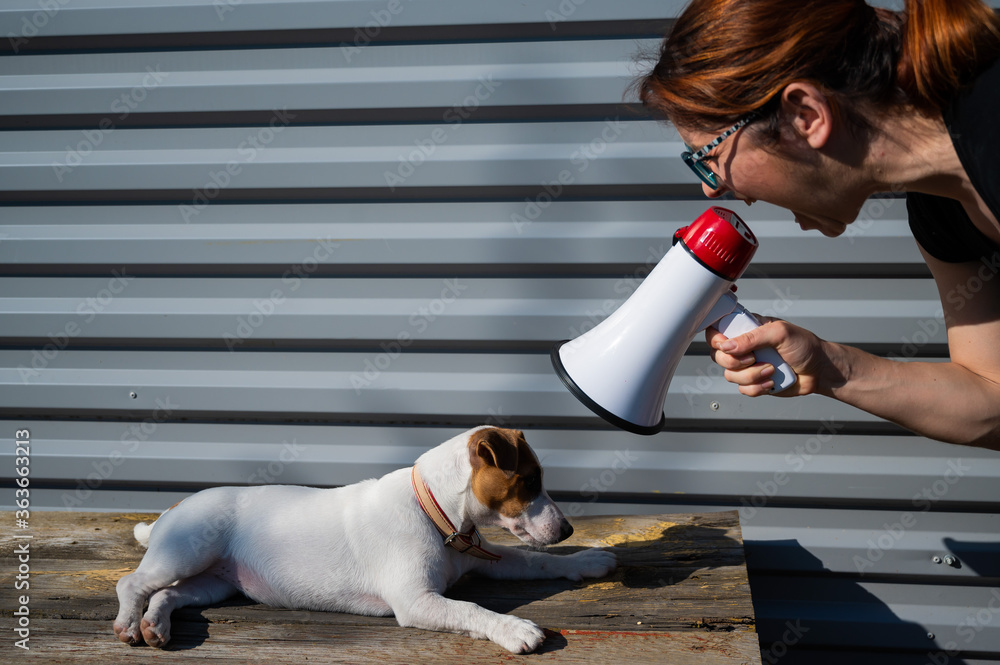 A woman yells at a lying dog through a megaphone. The girl brings up a ...