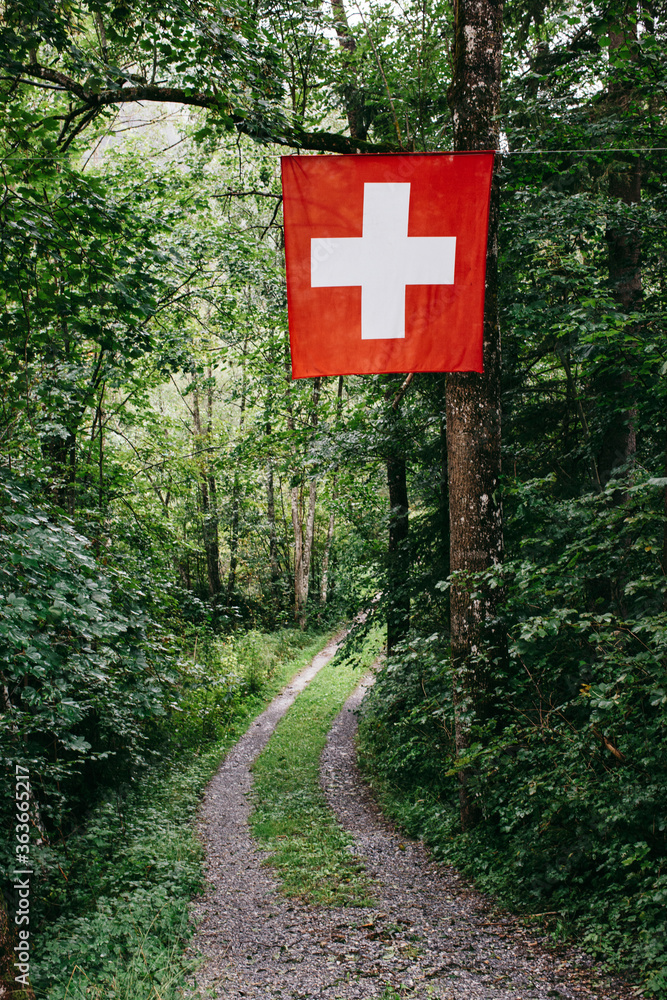 Swiss Flag Hanging in Forest Stock Photo | Adobe Stock