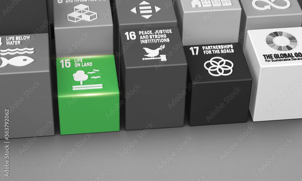 Sustainable Development Goals Blocks-3D Rendered Illustration SDG Icons ...