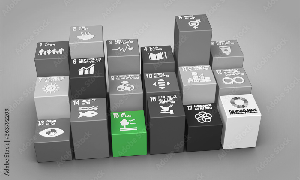 Sustainable Development Goals Blocks-3D Rendered Illustration SDG Icons ...