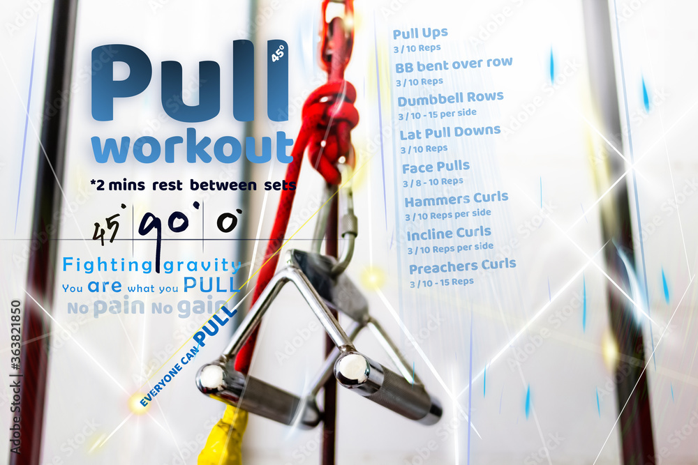 Poster Free weights workout style. Pull day workout routines. it is ...