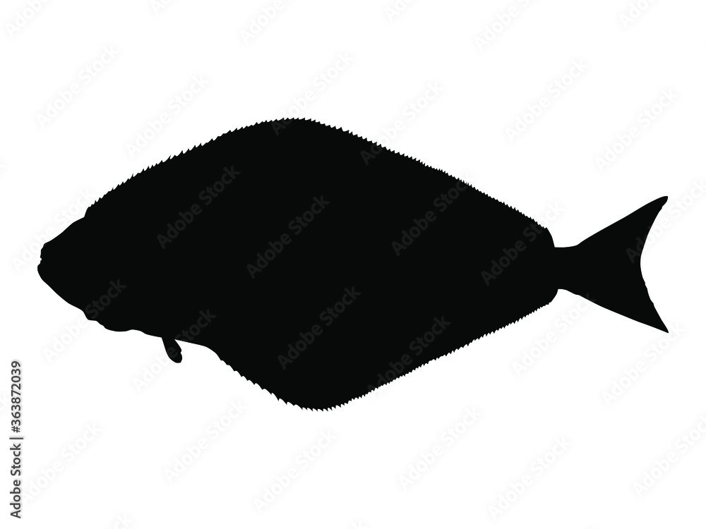 Halibut fish silhouette. Vector illustration. Stock Vector | Adobe Stock