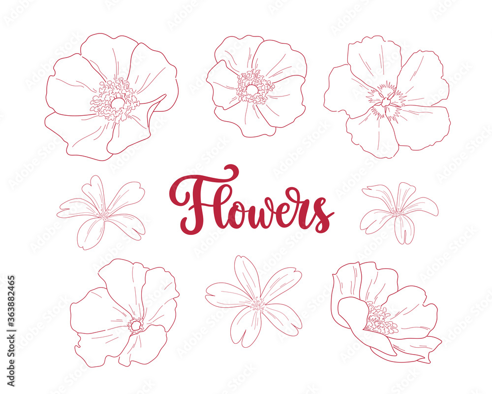 Set of hand-drawn line flowers with handwritten lettering. Vector ...