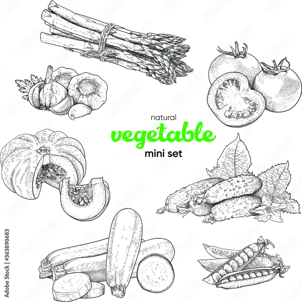 Natural vegetable mini set. Vintage hand drawing sketch vector ...