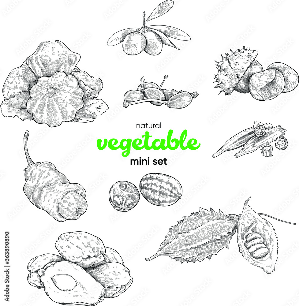 Natural vegetable mini set. Vintage hand drawing sketch vector ...