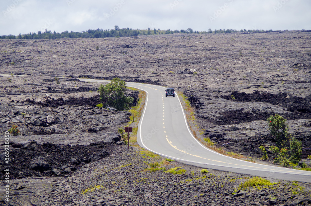 Lava desert with black solidified magma rocks form fertile ground for ...