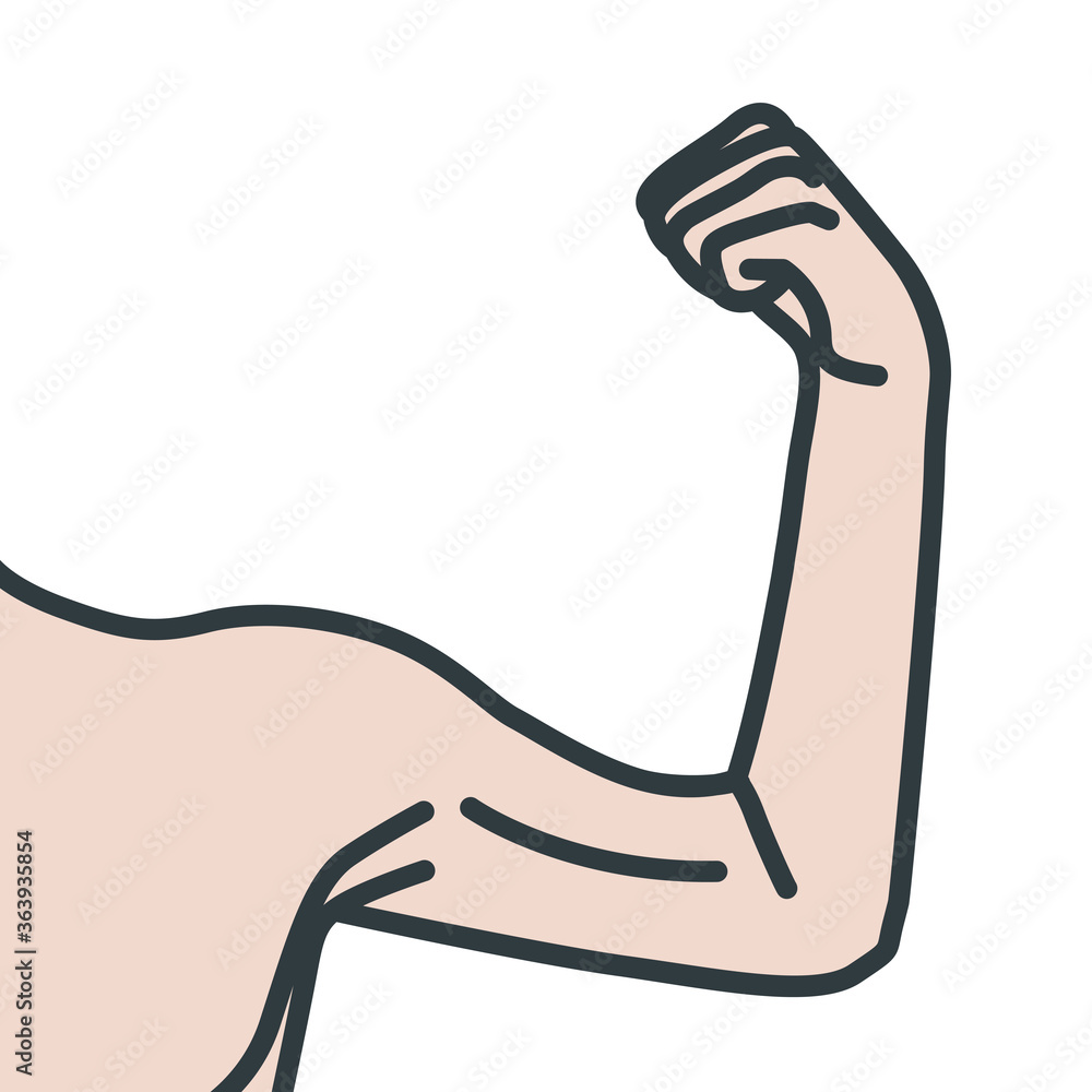 Weak male arms with flexed biceps muscles. Linear vector illustration ...