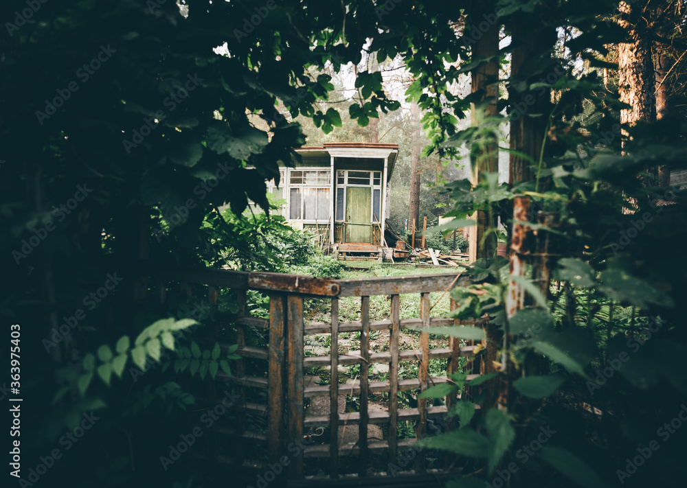 View of a cozy cryptic wooden wicket in a deforused foreground in a ...