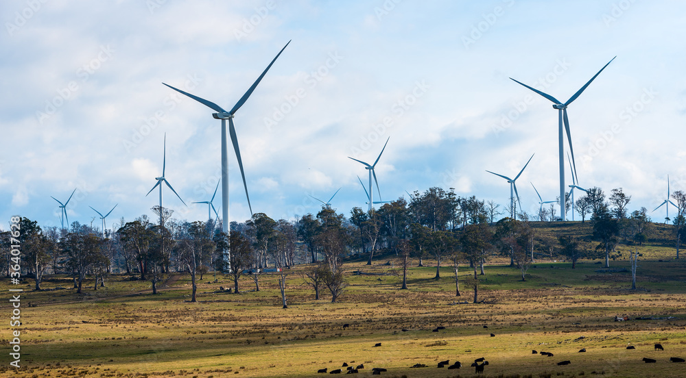 A wind turbine on the Cattle Hill Wind Farm in Tasmanian dominates the ...
