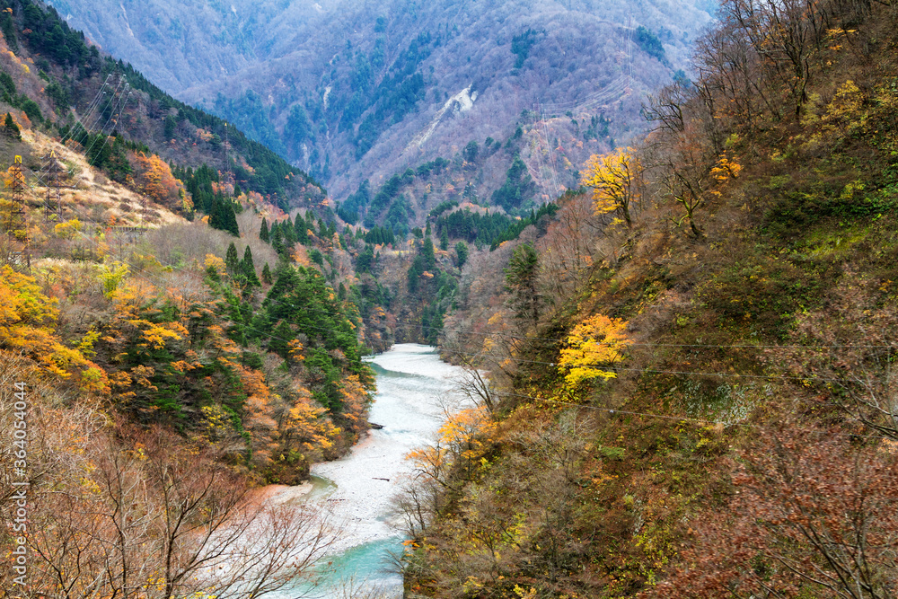 Kurobe River and stones, green area with unspoiled nature at Kurobe ...