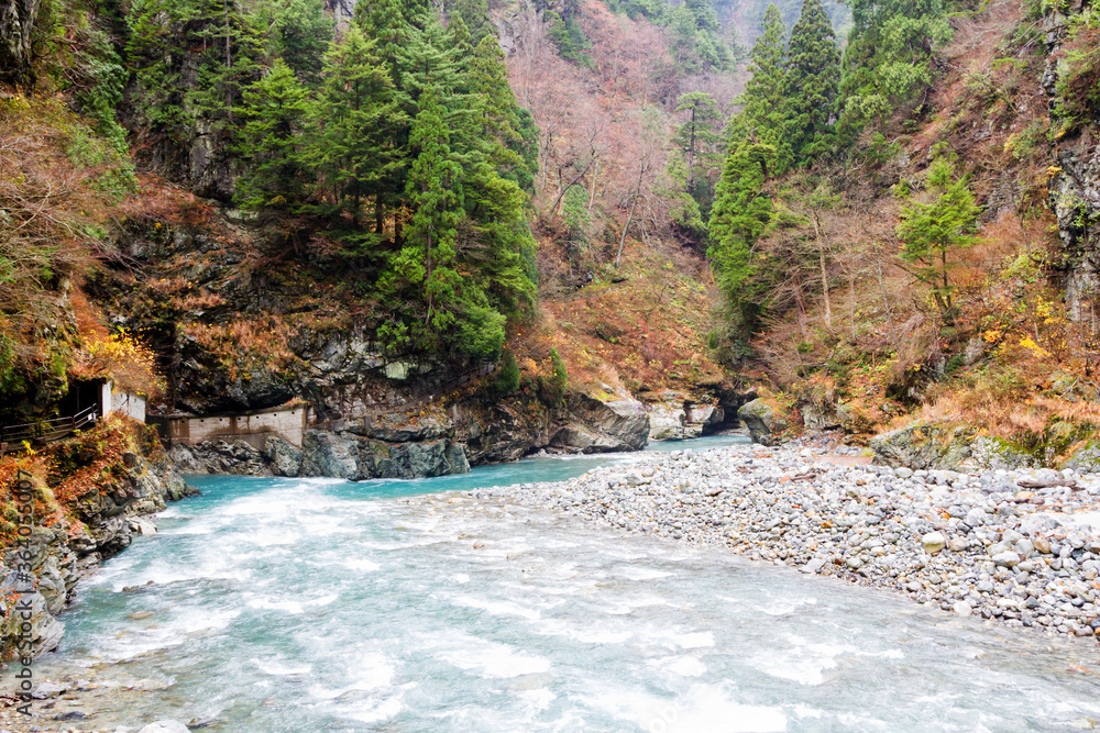 Kurobe River and stones, green area with unspoiled nature at Kurobe ...